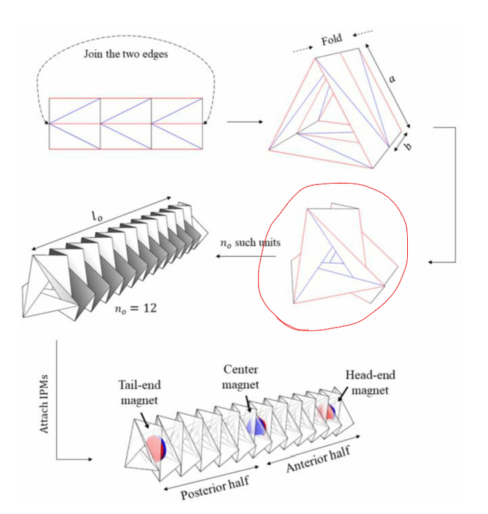 Folding Origami Problem - Grasshopper - McNeel Forum