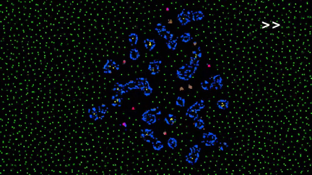 The Origin of "life"_ About Particle Systems - Grasshopper - McNeel Forum