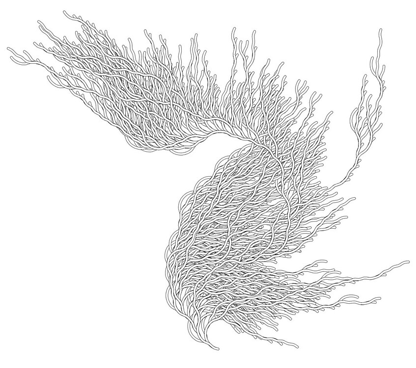 Collatz Conjecture Python Script - Scripting - McNeel Forum