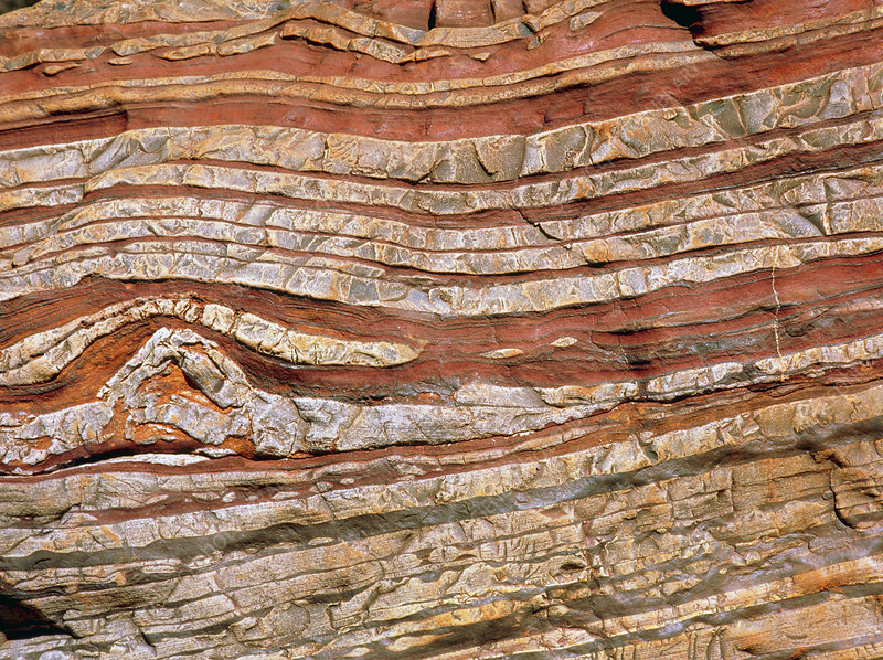 Building 3D strata patterns - Grasshopper - McNeel Forum