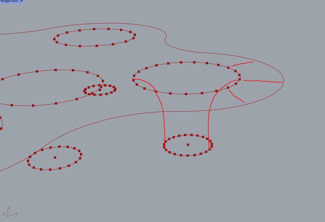 GHPython curves between circles - Grasshopper - McNeel Forum
