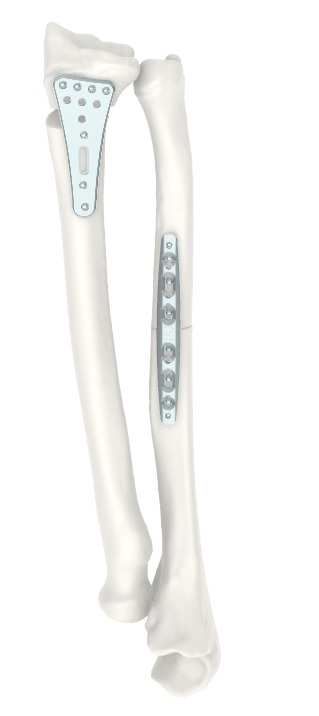 Python help - Scripting - McNeel Forum