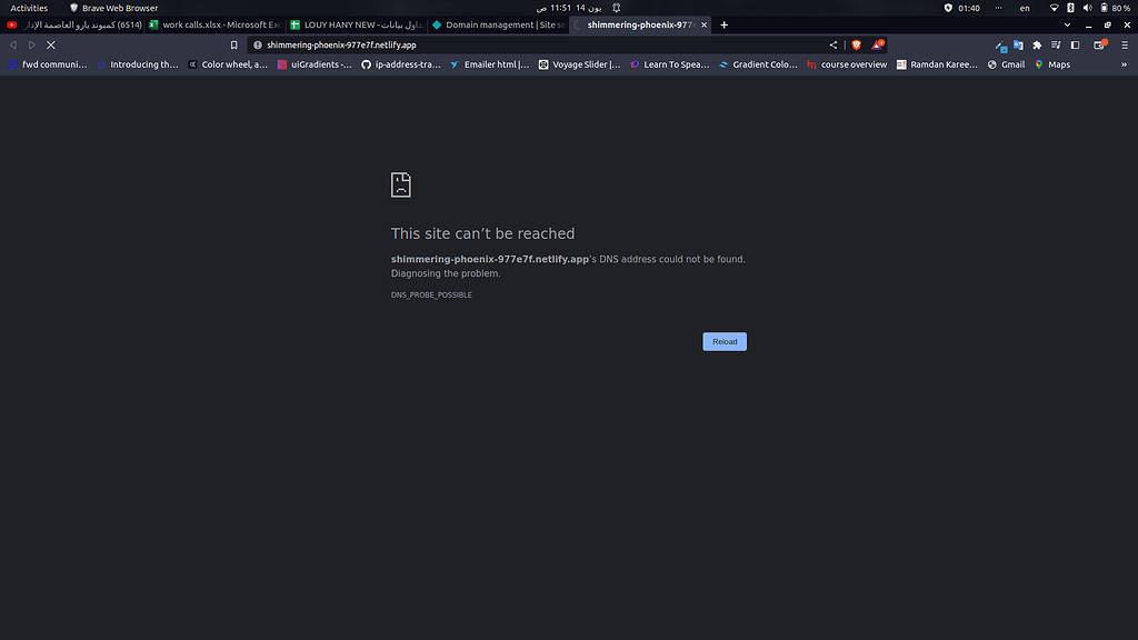 Dns Address Could Not Be Founde Dingaros Support Netlify Support Forums
