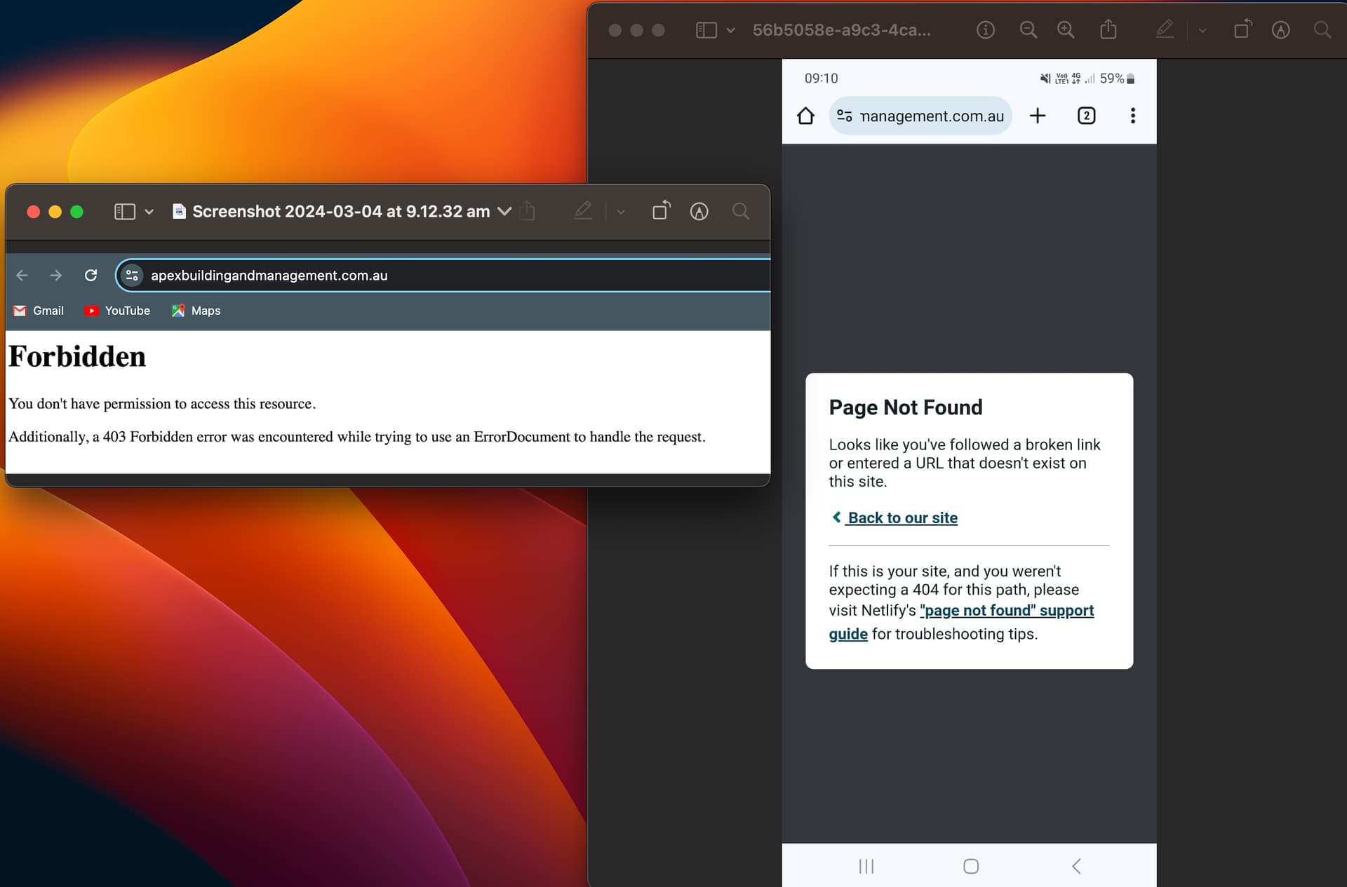 Netlify Dns Connetion For Domain And Custom Email Support Netlify Support Forums