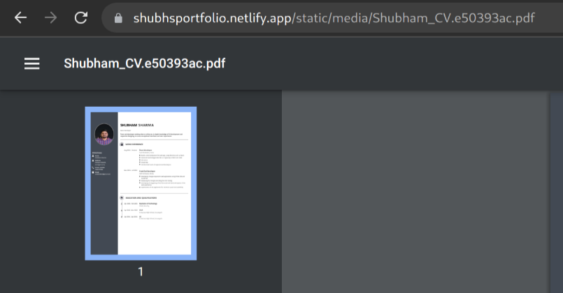 Im Not Able To Download Pdf After Site Goes Live Why Support Netlify Support Forums