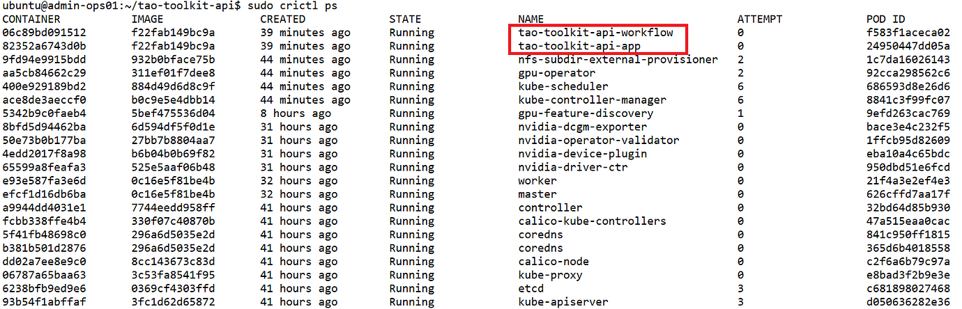 What Is The Difference Between Tao Toolkit Api App And Tao Toolkit Api Workflow Tao