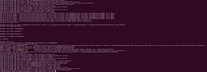 Deepstream Triton Ensemble Model Error - DeepStream SDK - NVIDIA Developer Forums