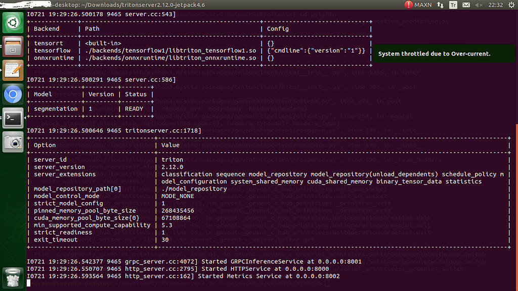 Triton Inference Server Inference Request Error On Gpu Triton Inference Server Archived 