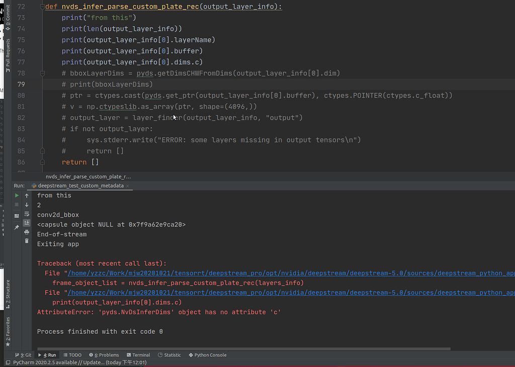 Acquire NvDsInferLayerInfo output - DeepStream SDK - NVIDIA Developer Forums