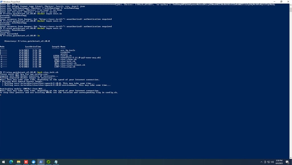 Too long Riva TTS model downloading - Riva - NVIDIA Developer Forums