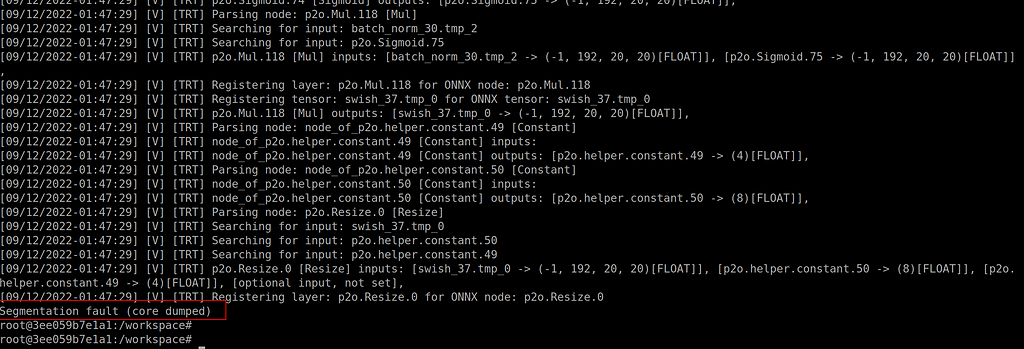 Segfault is always reported after parsing ``Resize`` node when convert my customed .onnx ...