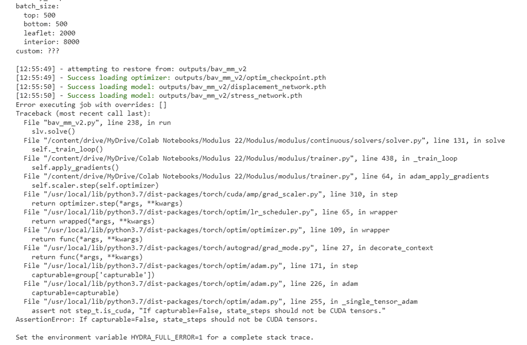Assertion error when restarting training - Technical Support (PhysicsNeMo Only) - NVIDIA ...