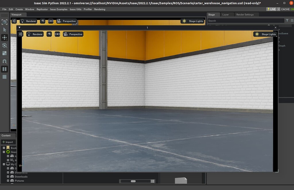 Stereo camera script- viewports don't initialize properly - Isaac Sim - NVIDIA Developer Forums