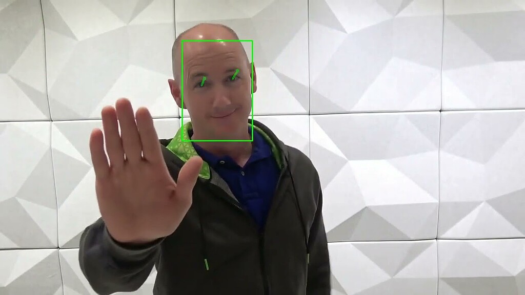 Where can we get TLT3.0 Gaze Estimation demo source code/project for ...