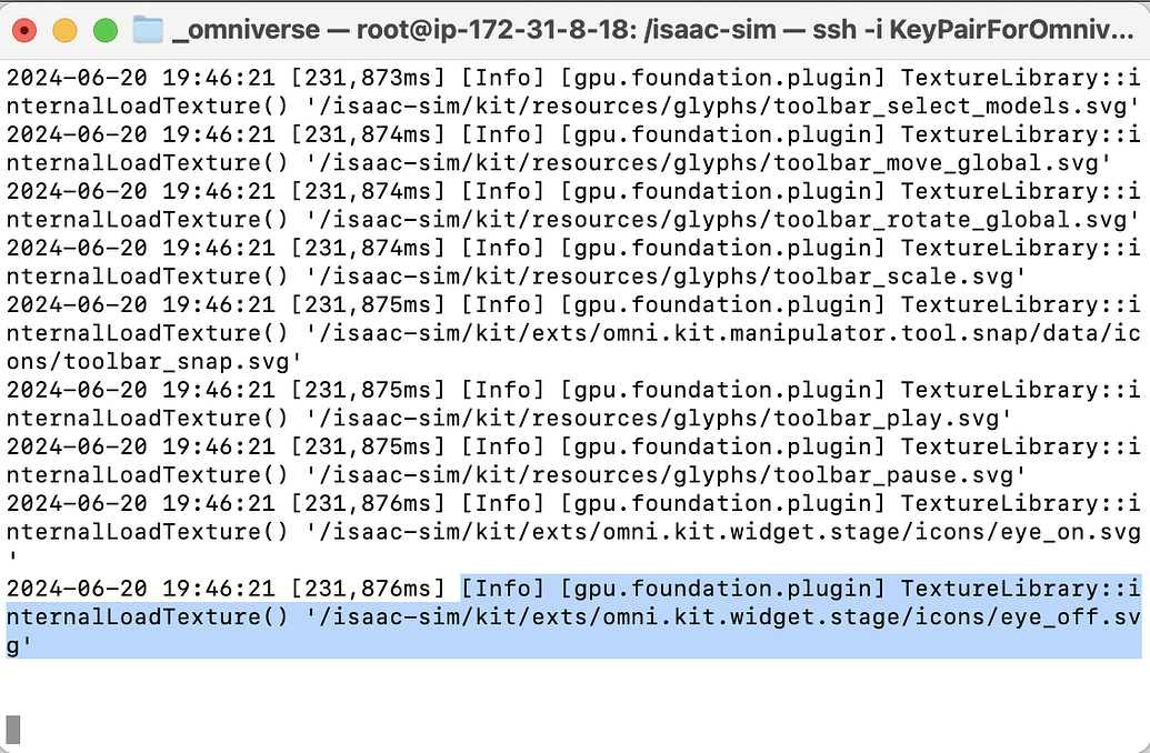 Isaac Sim container with ./runheadless.native.sh -v , stuck in [Info] [gpu.foundation.plugin ...