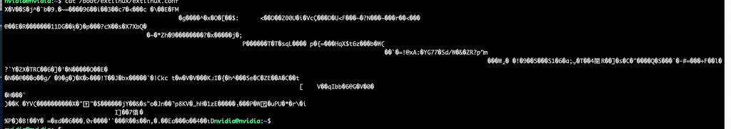 Extlinux.conf content is not readable - Jetson Xavier NX - NVIDIA ...