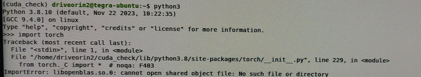 Import Error: libopenblas.so.0: Cannot open shared object file: No such file or directory ...