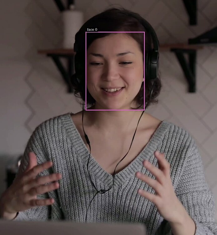 Custom Yolov8n-face and FER Model Integration into Deepstream - DeepStream SDK - NVIDIA ...