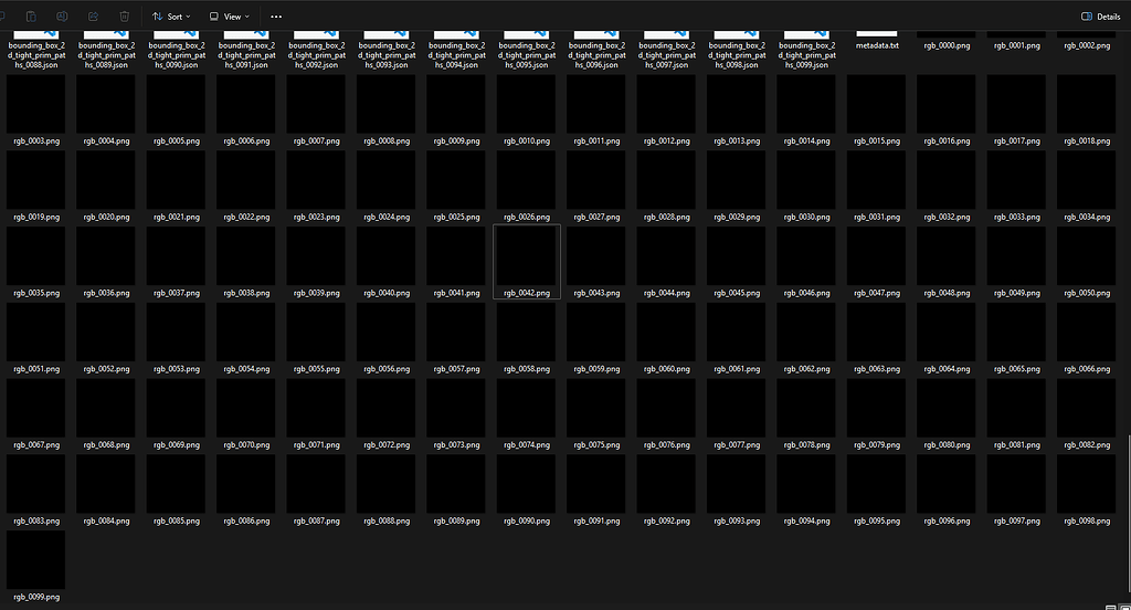 Black blank images generated by Replicator - Isaac Sim - NVIDIA Developer Forums