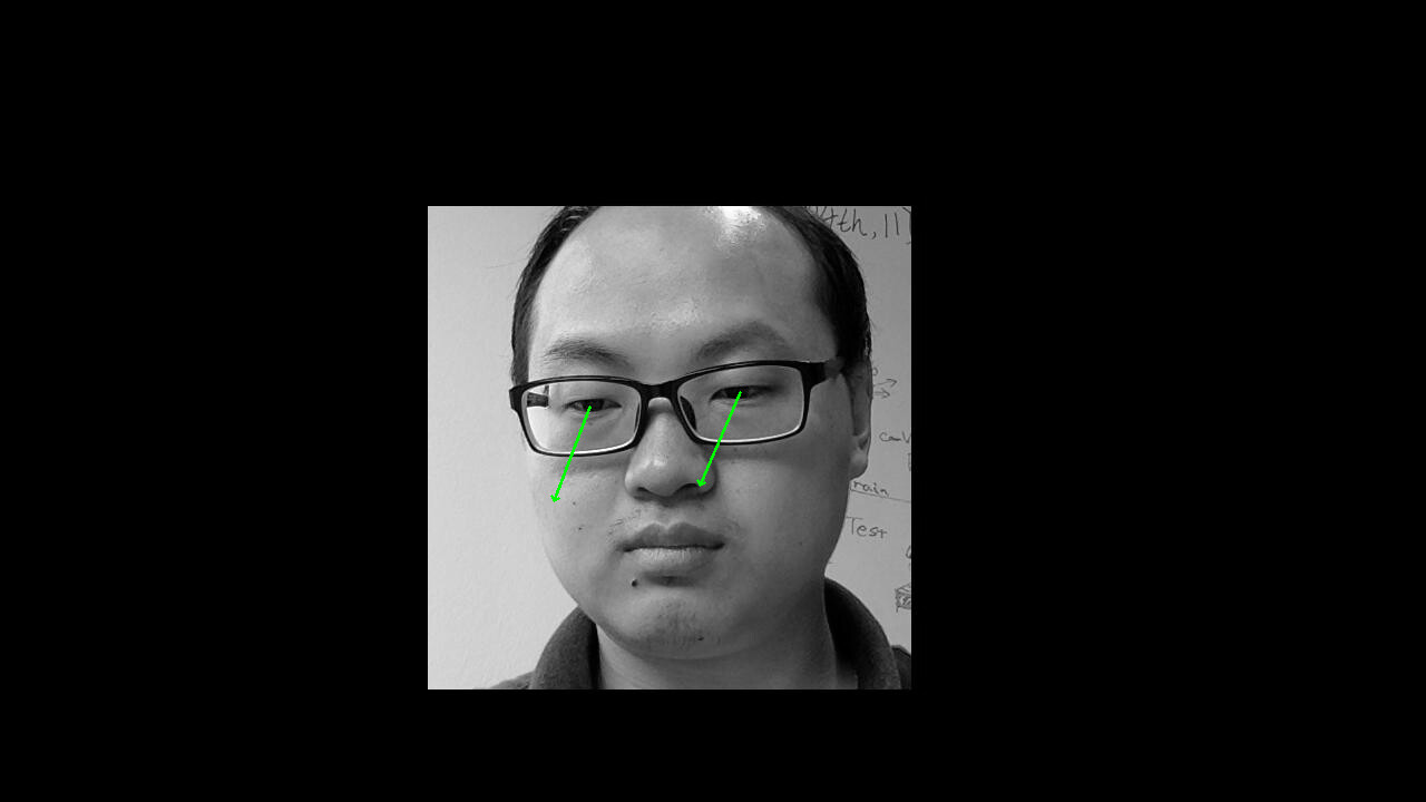 Gazenet Example Inference Result - TAO Toolkit - NVIDIA Developer Forums