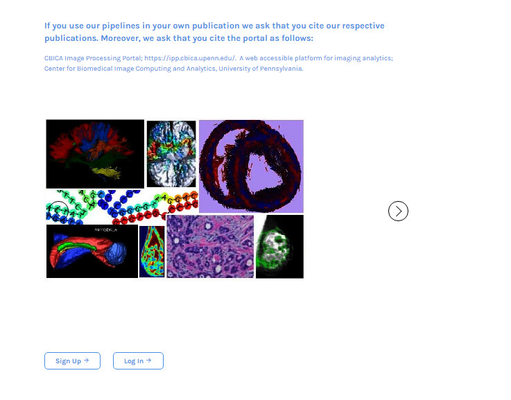 Building Medical 3D Image Segmentation Using Jupyter Notebooks from the NGC Catalog - Technical ...