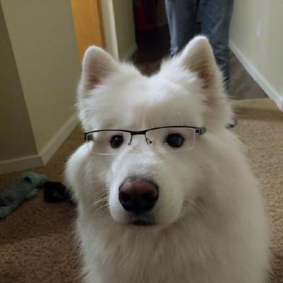 install OpenCV for python3 in Jetson Nano - Page 2 - Jetson Nano - NVIDIA Developer Forums