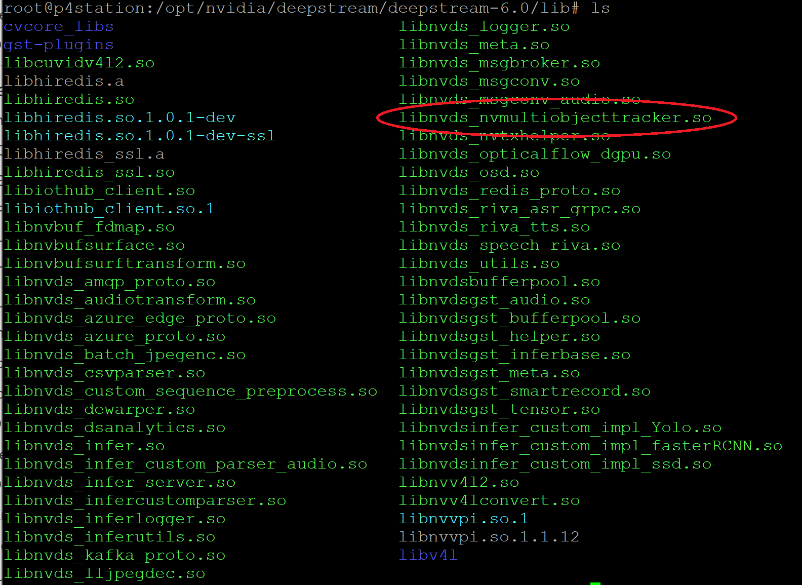Tracker Does Not Work With Deepstream 6 0 In Docker Deepstream Sdk Nvidia Developer Forums