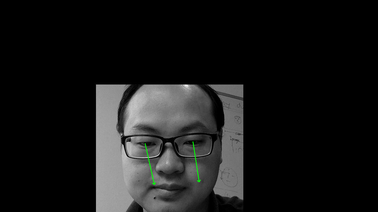 Gazenet Example Inference Result - TAO Toolkit - NVIDIA Developer Forums