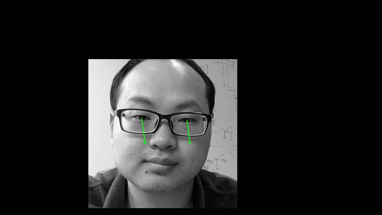 Gazenet Example Inference Result - TAO Toolkit - NVIDIA Developer Forums