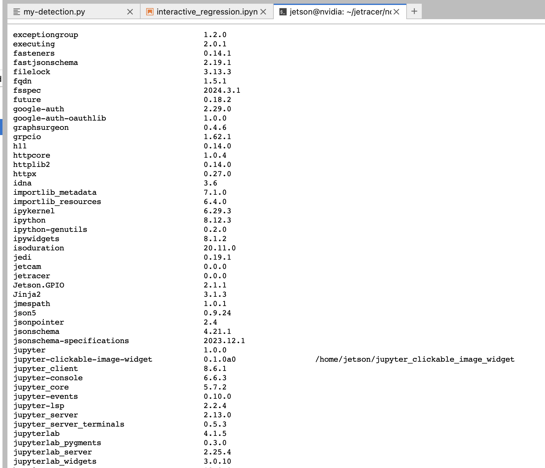 Jetracer No Camera Widget When Running Interactiveregression Jetson Orin Nano Nvidia