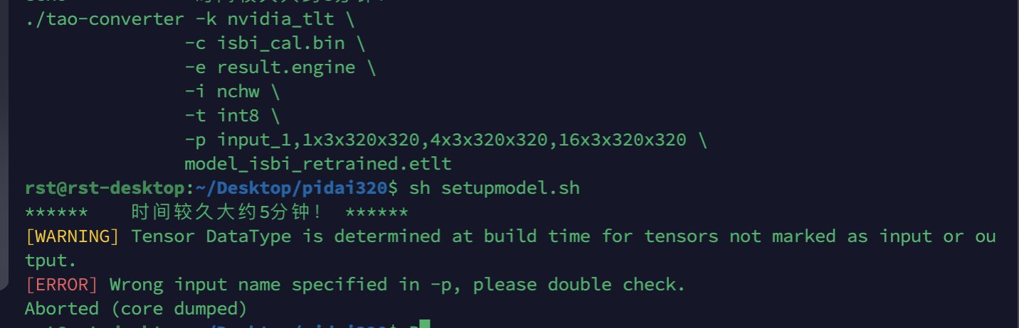Error Network Has Dynamic Or Shape Inputs But No Optimization