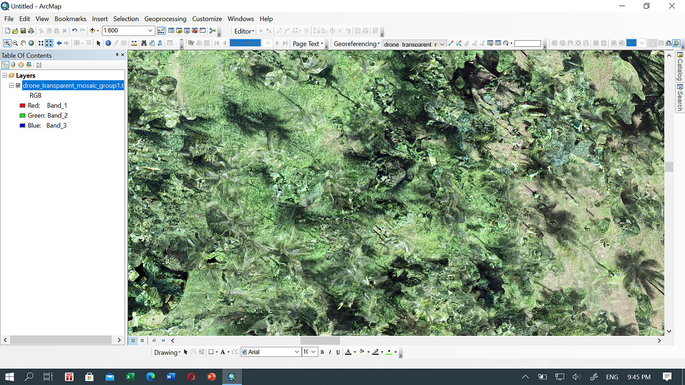 Orthomosaic output image issue - PIX4Dmapper Feature Request - Pix4D ...