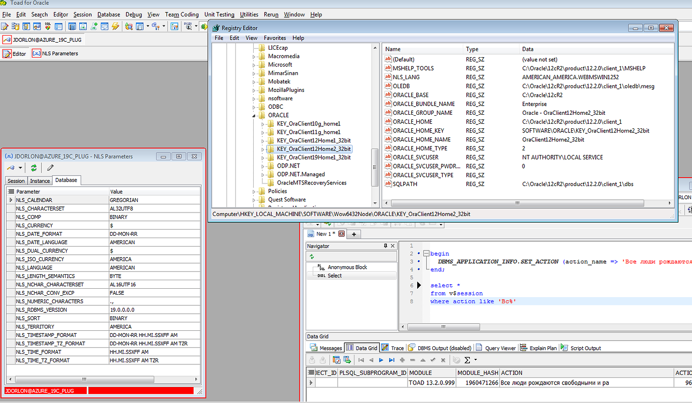 Toad for Oracle appears an alert with ORA-29275: partial multibyte character when i execute ...