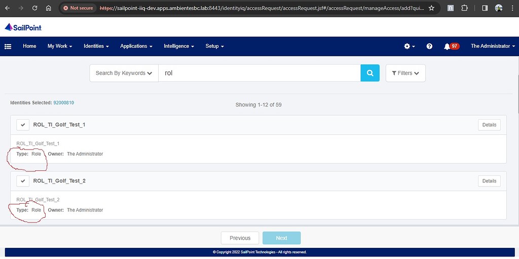 Customize Role view in Manage User Access - IIQ Discussion and Questions - SailPoint Developer ...