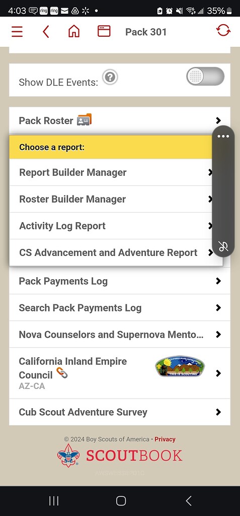 Unit advancement chair is unable to access any reports (used to be able to) - Using Scoutbook ...