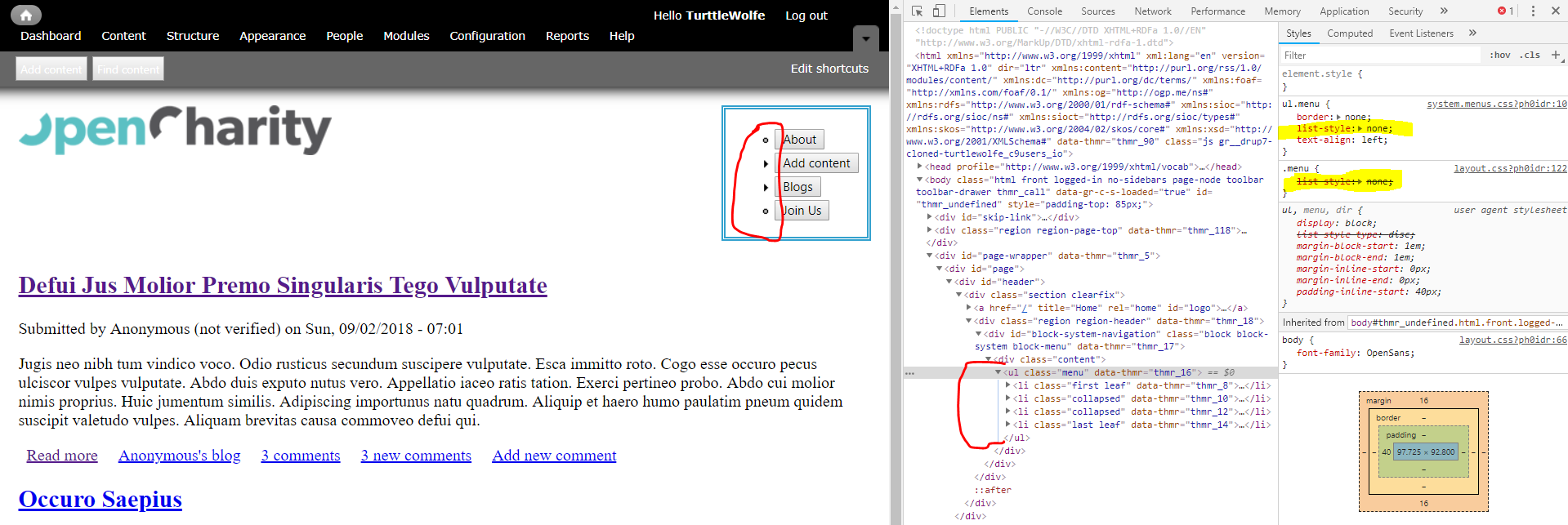 Html List Style Type