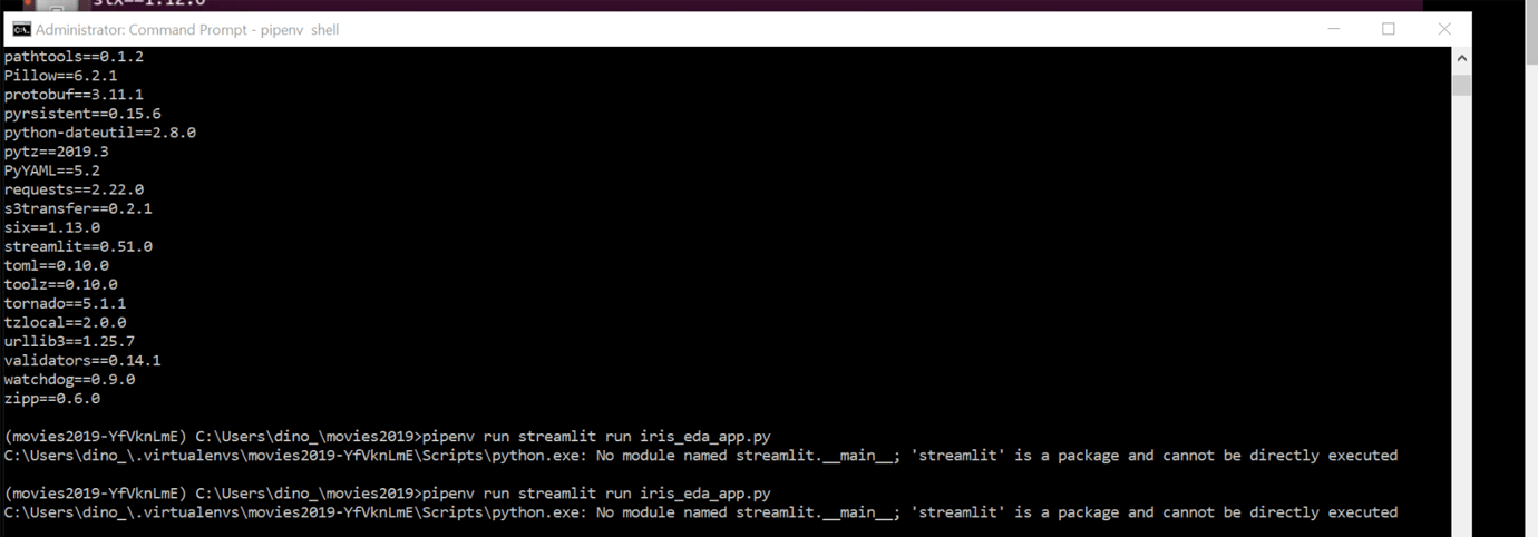 No module named streamlit.__main__; 'streamlit' is a package and cannot ...