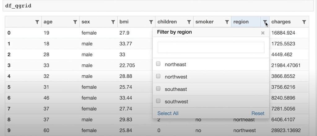 Excel-like Filtering in Pandas Dataframe - Using Streamlit - Streamlit Excel-like Filtering in Pandas Dataframe - Using Streamlit - Streamlit