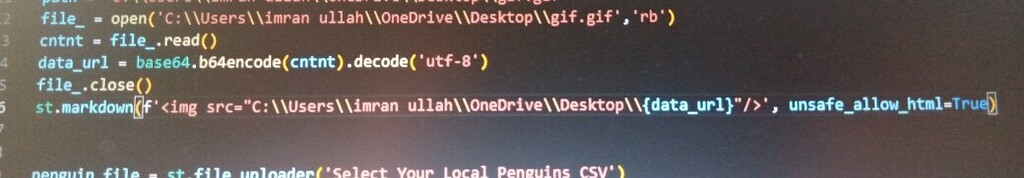 How to load animation from local disk? - Using Streamlit - Streamlit