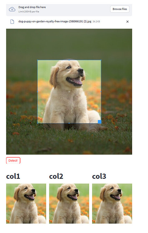 Streamlit-cropperjs: A new way to crop images! - Show the Community! - Streamlit