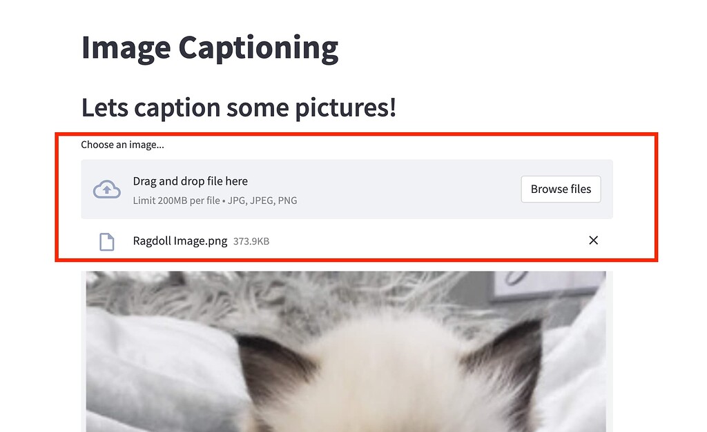 Deleting Uploader Widget When Using St File Uploader After Picture Is Uploaded Using Streamlit
