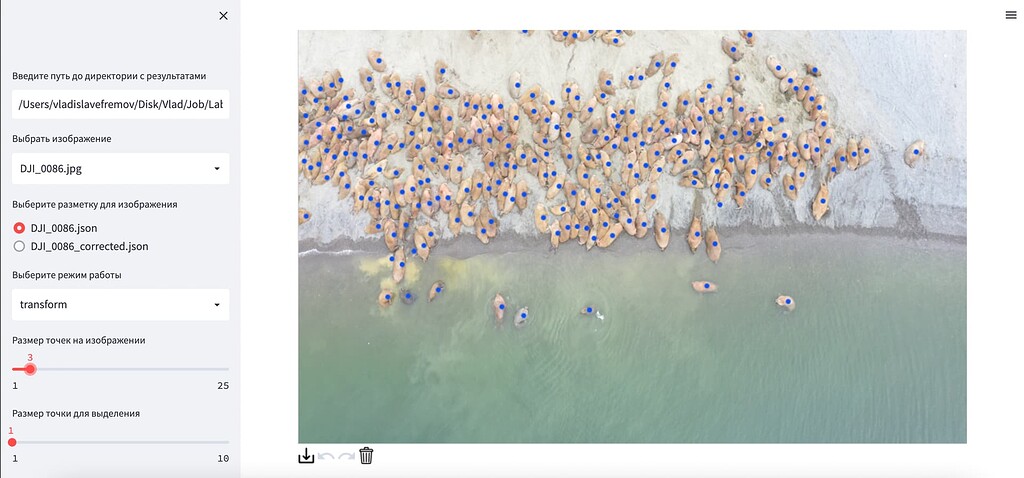 How to enlarge image in streamlit-drawable-canvas? - Custom Components ...