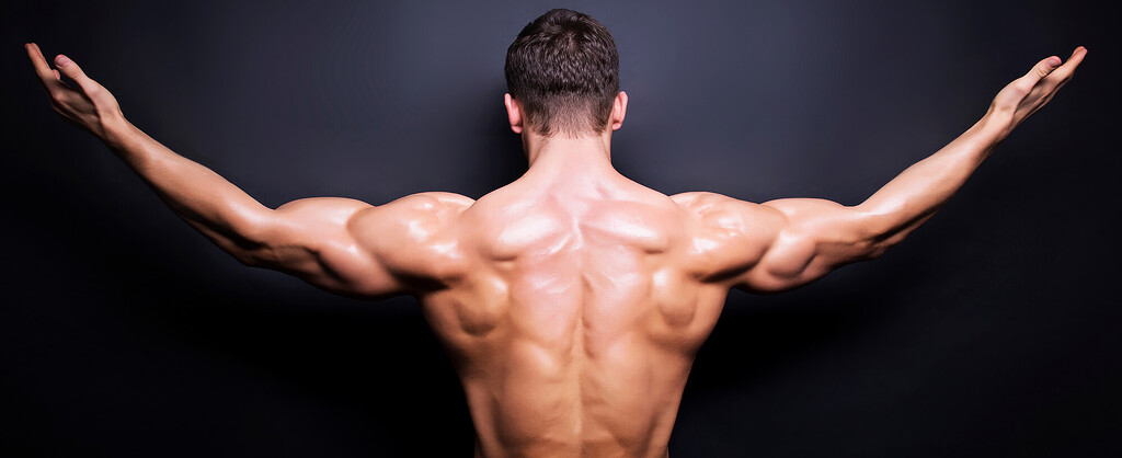 The Top Seven Upper Back Exercises - The Vital Whole Human - T NATION