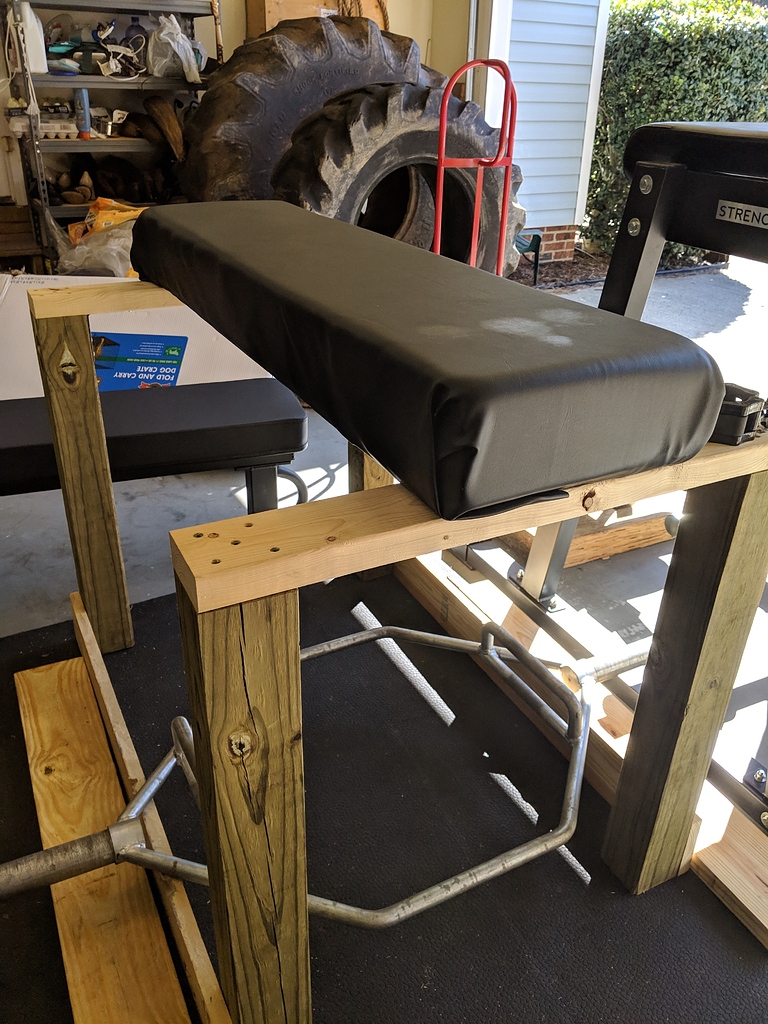 DIY Seal Row Bench - Bigger Stronger Leaner - T NATION