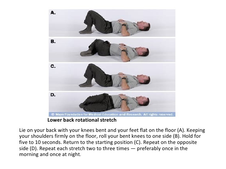 Back Problem - Injuries and Rehab - T NATION