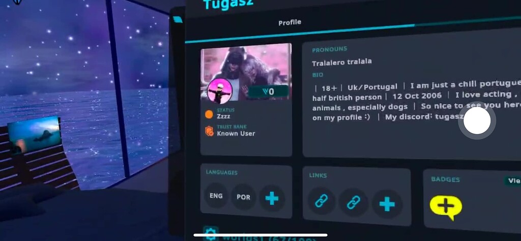 Age verification disappearing - Help! - VRChat Ask Forum